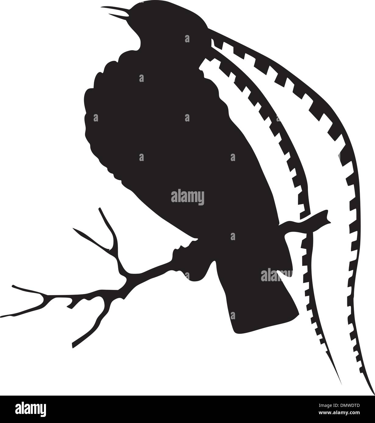 bird of paradise Stock Vector Image & Art - Alamy