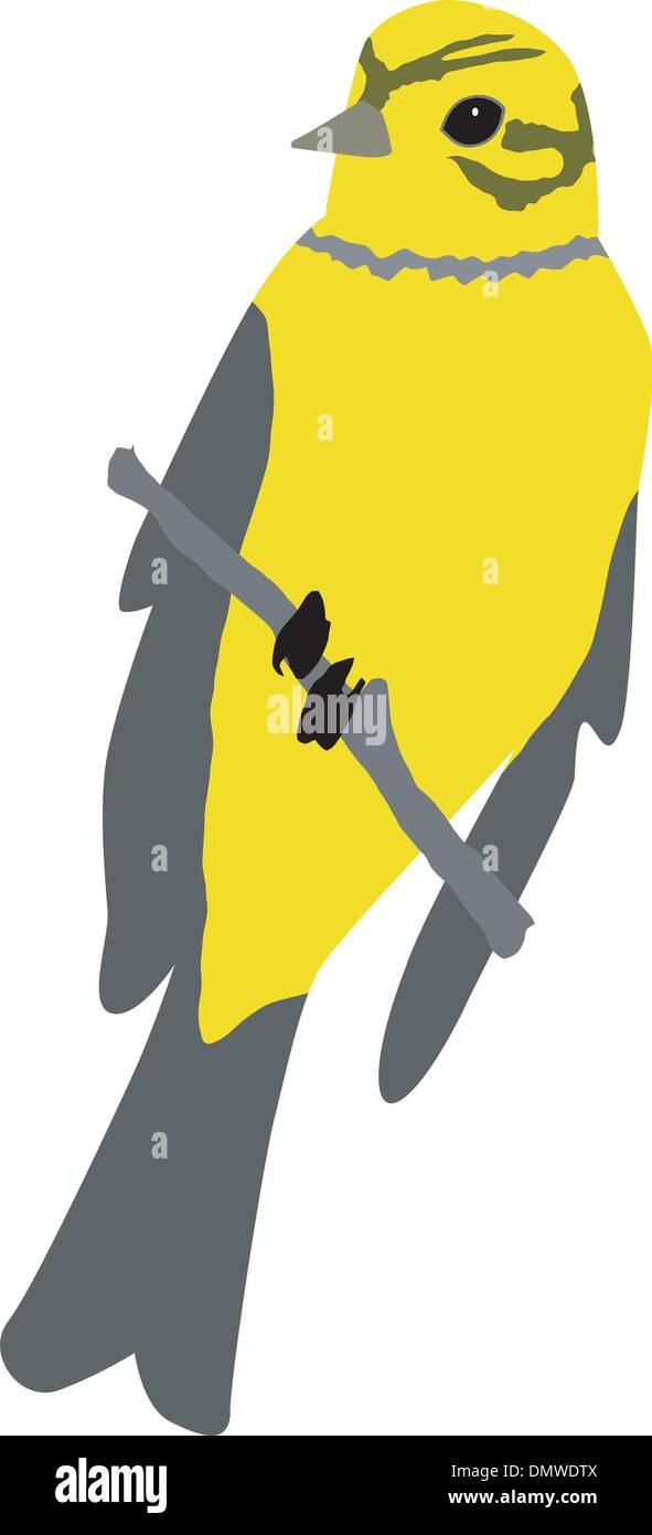 Yellow hammer bird Stock Vector Images - Alamy