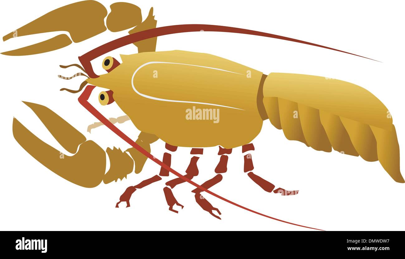 illustration of crayfish Stock Vector Image & Art - Alamy
