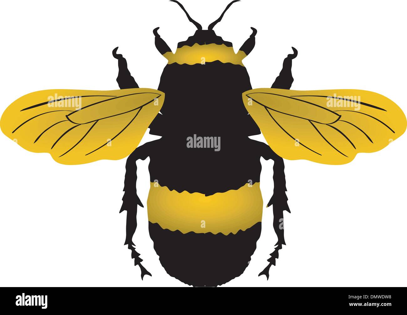 illustration of bumblebee Stock Vector Image & Art - Alamy
