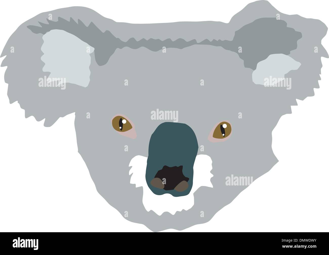 illustration of koala Stock Vector Image & Art - Alamy