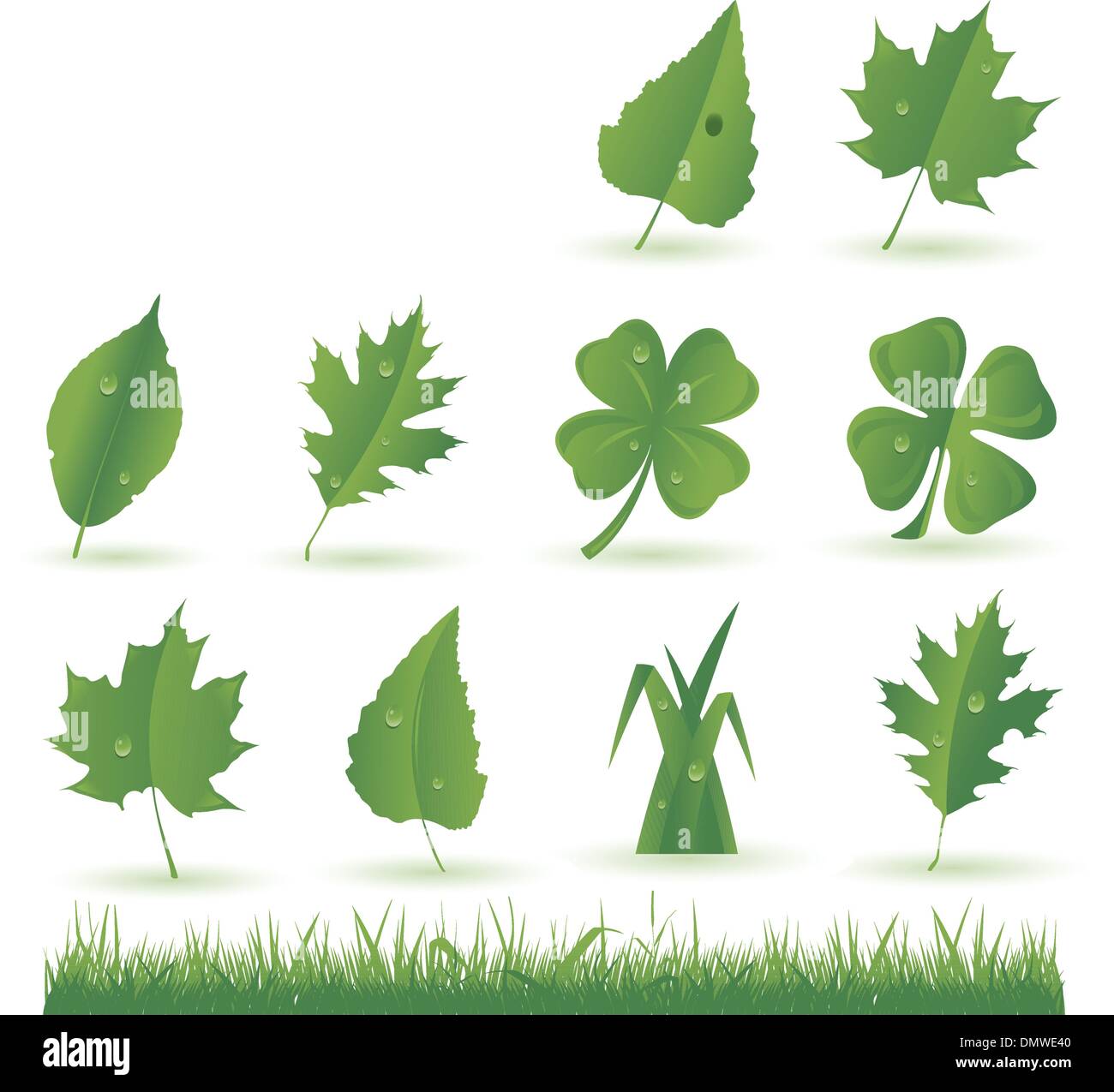 Branch cherry leaves on Stock Vector Images - Alamy