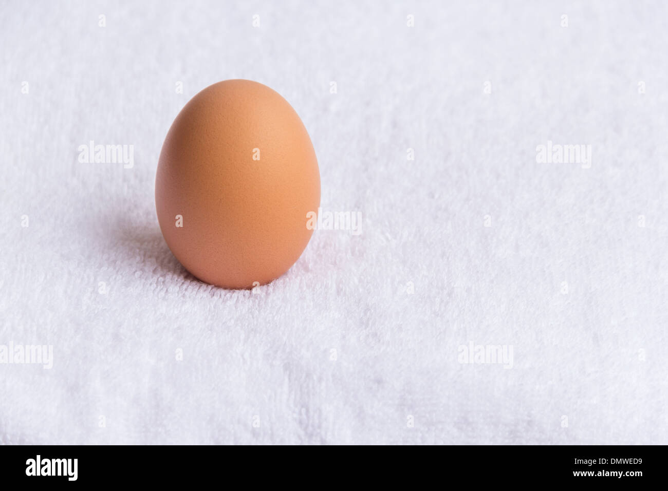 One chiken egg stands alone on white background Stock Photo - Alamy