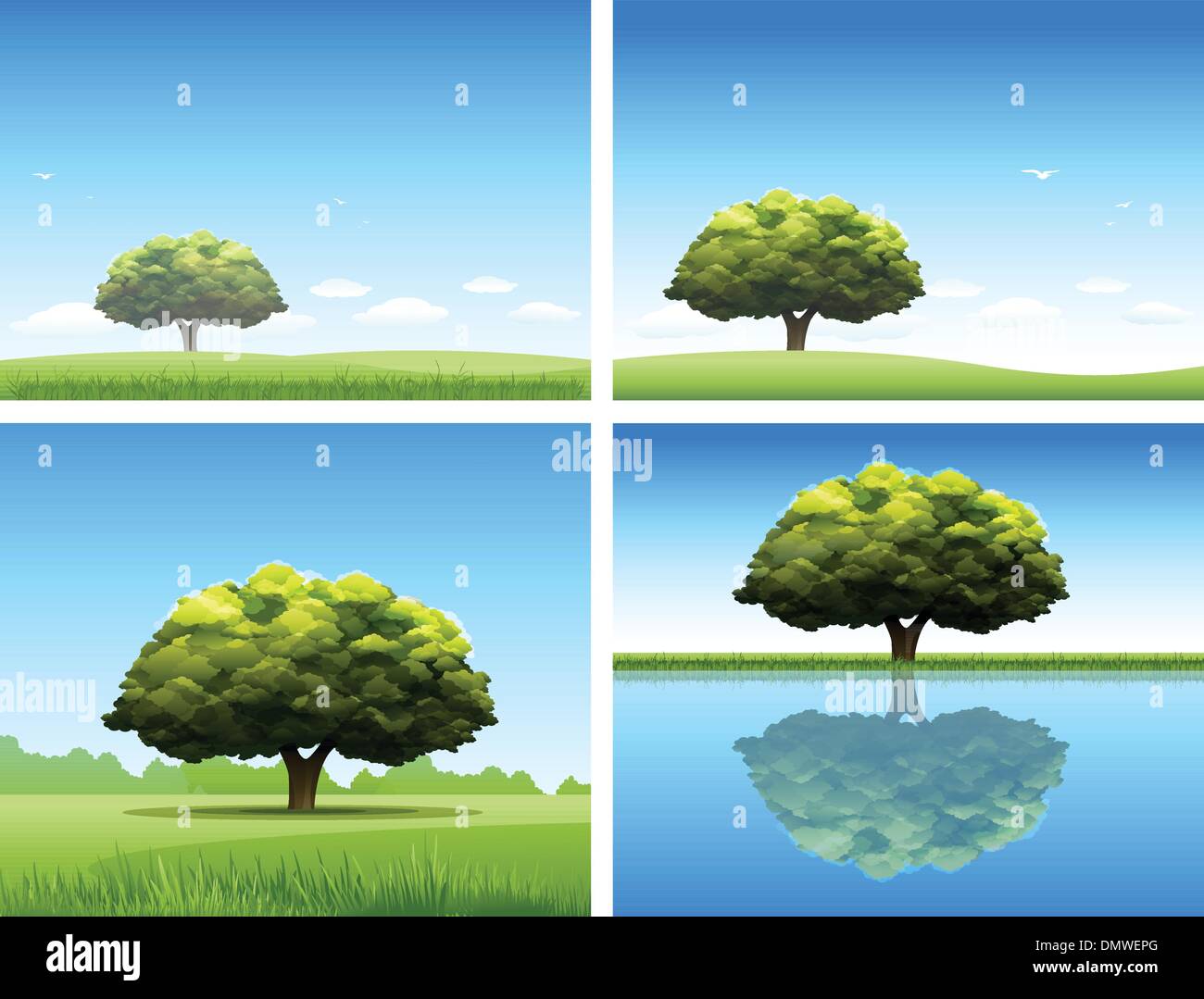 Oak tree background Stock Vector Image & Art - Alamy