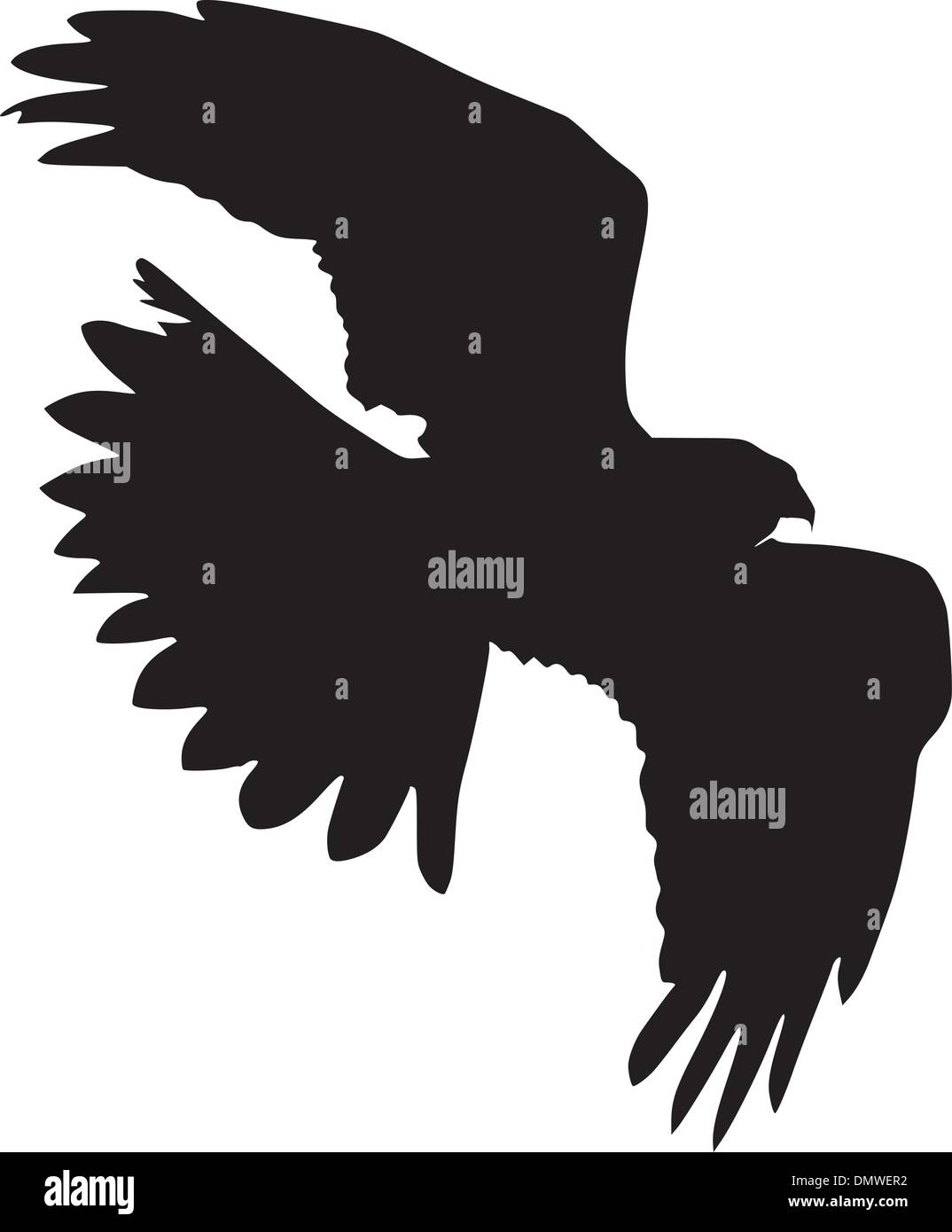 Black harrier Stock Vector Images - Alamy