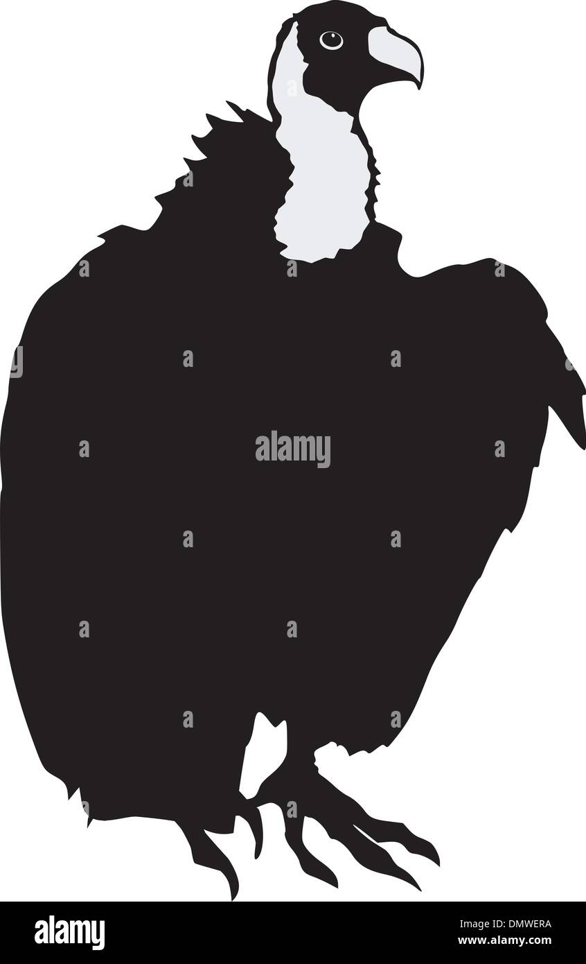 silhouette of vulture Stock Vector Image & Art - Alamy