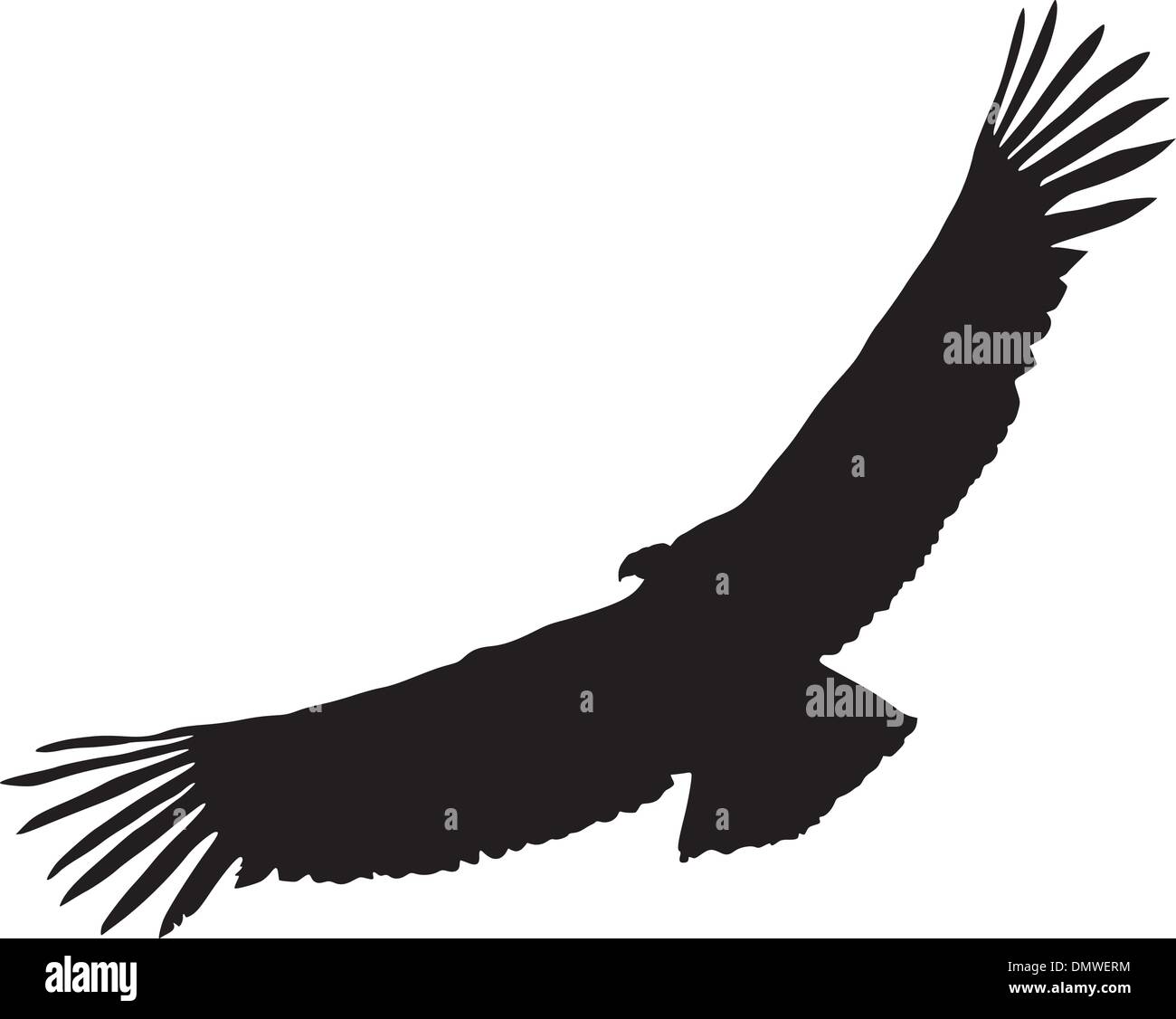 Illustration in style of black silhouette of condor Stock Vector Image ...