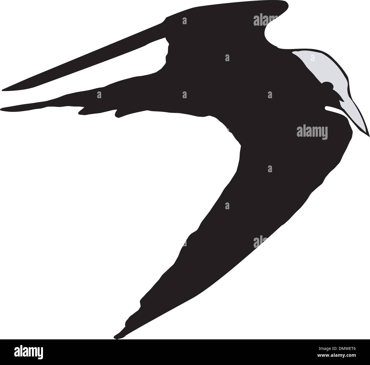 Black tern Stock Vector Images - Alamy