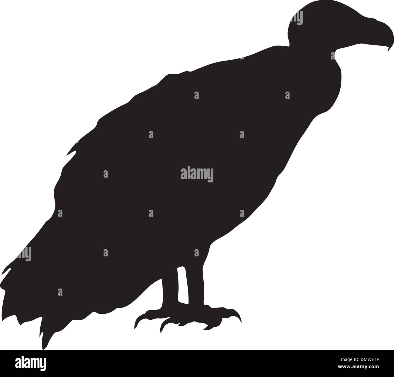 Black vulture drawing hi-res stock photography and images - Alamy