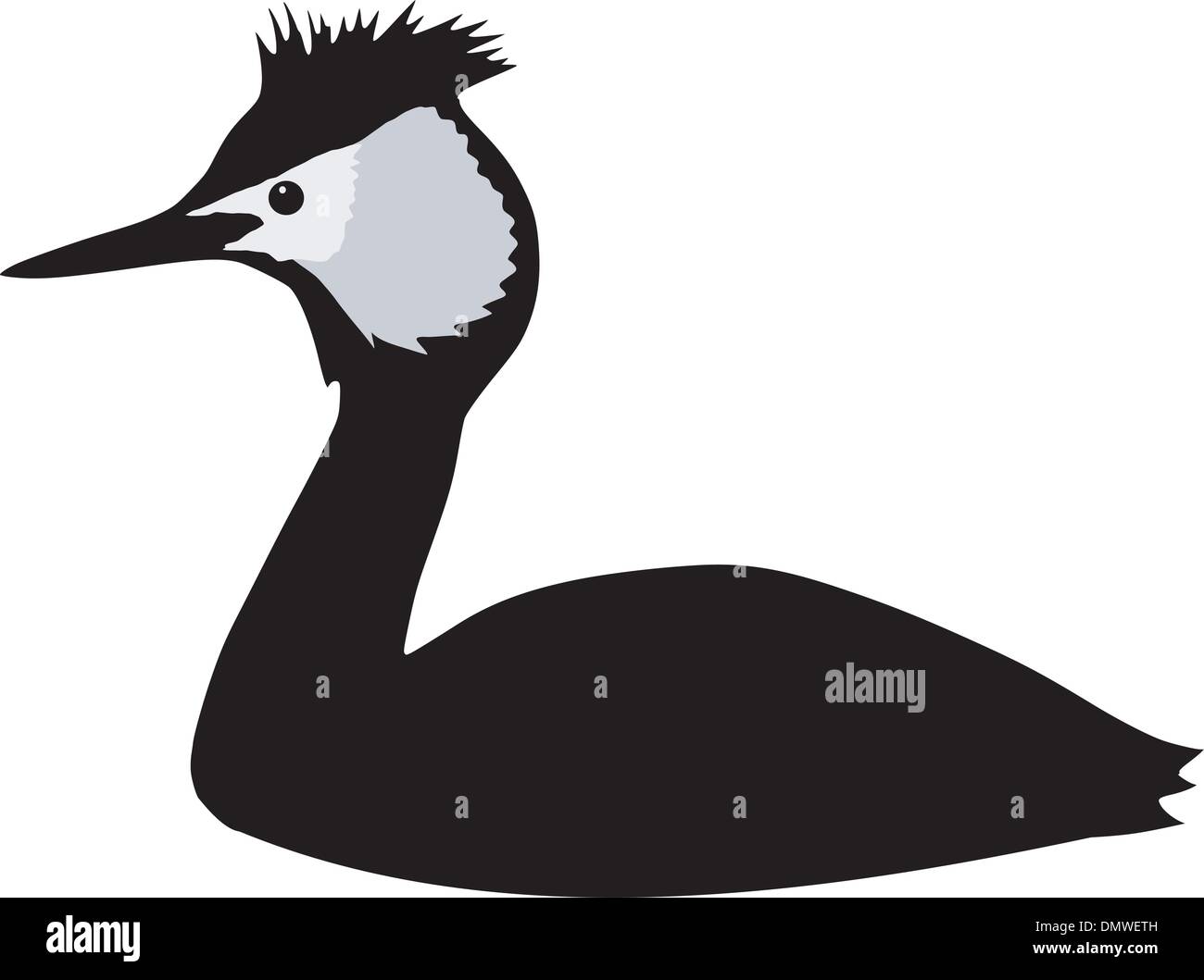 silhouette of grebe Stock Vector Image & Art - Alamy