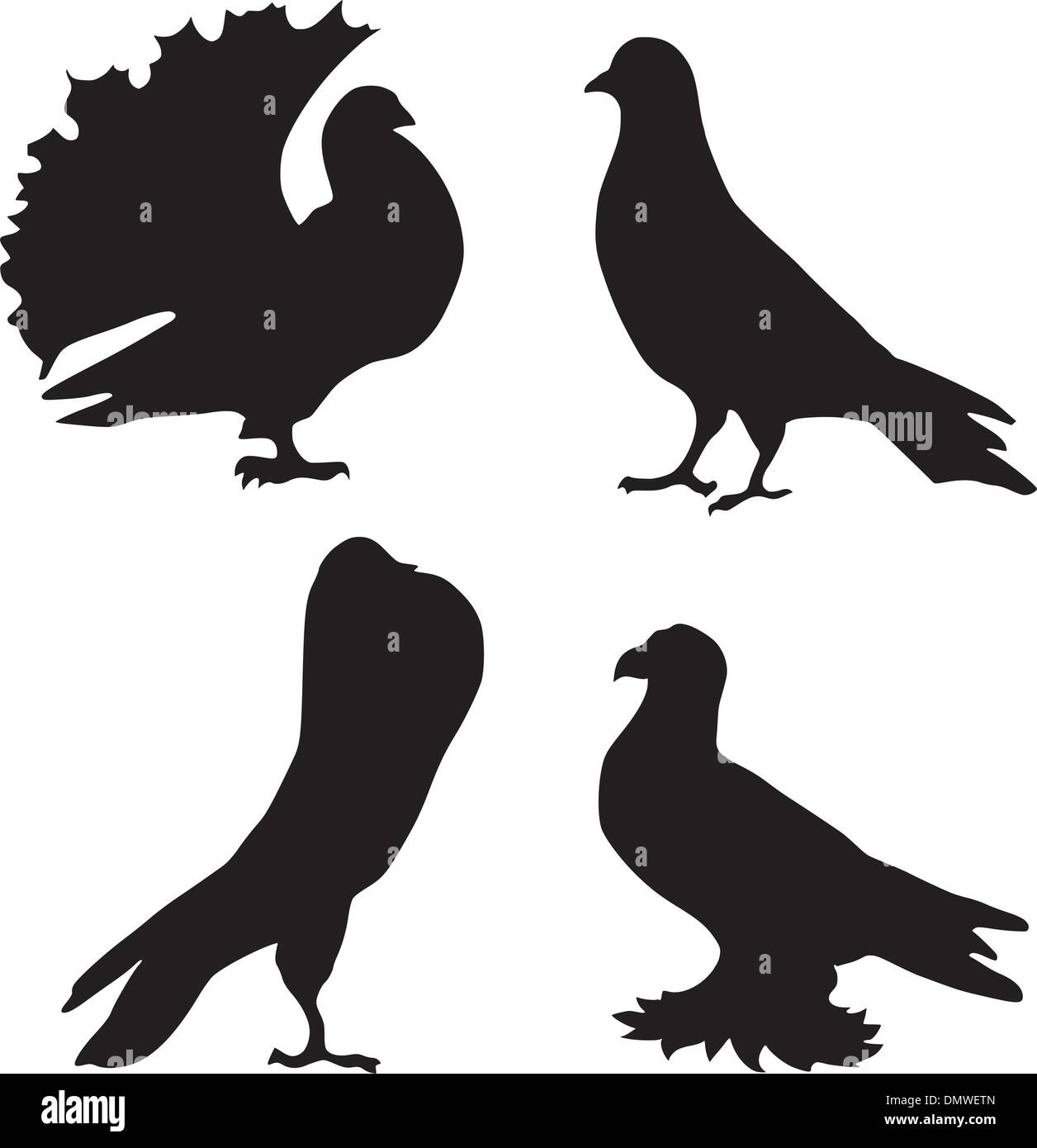 silhouette of dove Stock Vector Image & Art - Alamy