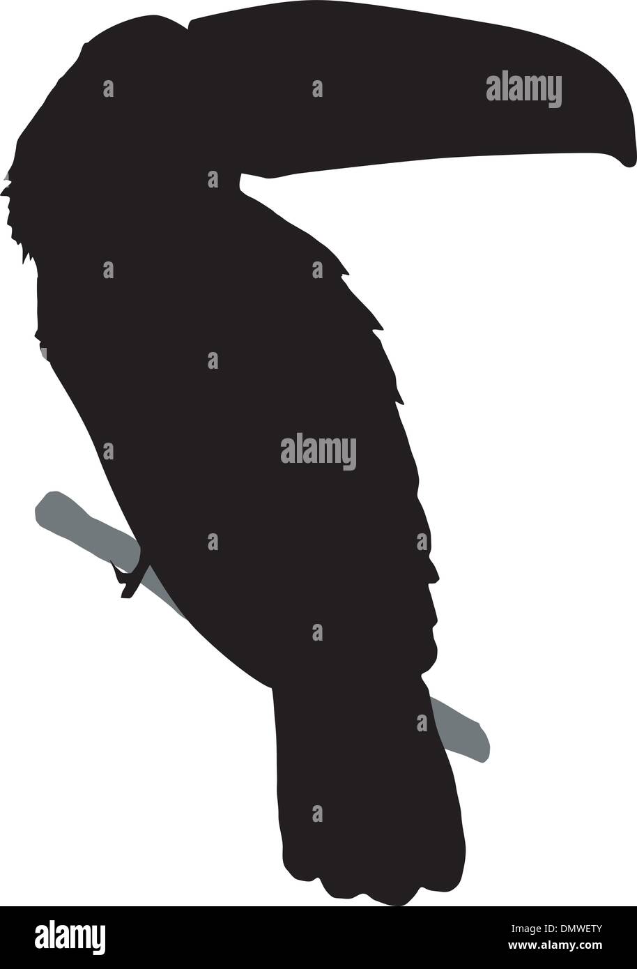 Toucan vector vectors hi-res stock photography and images - Alamy