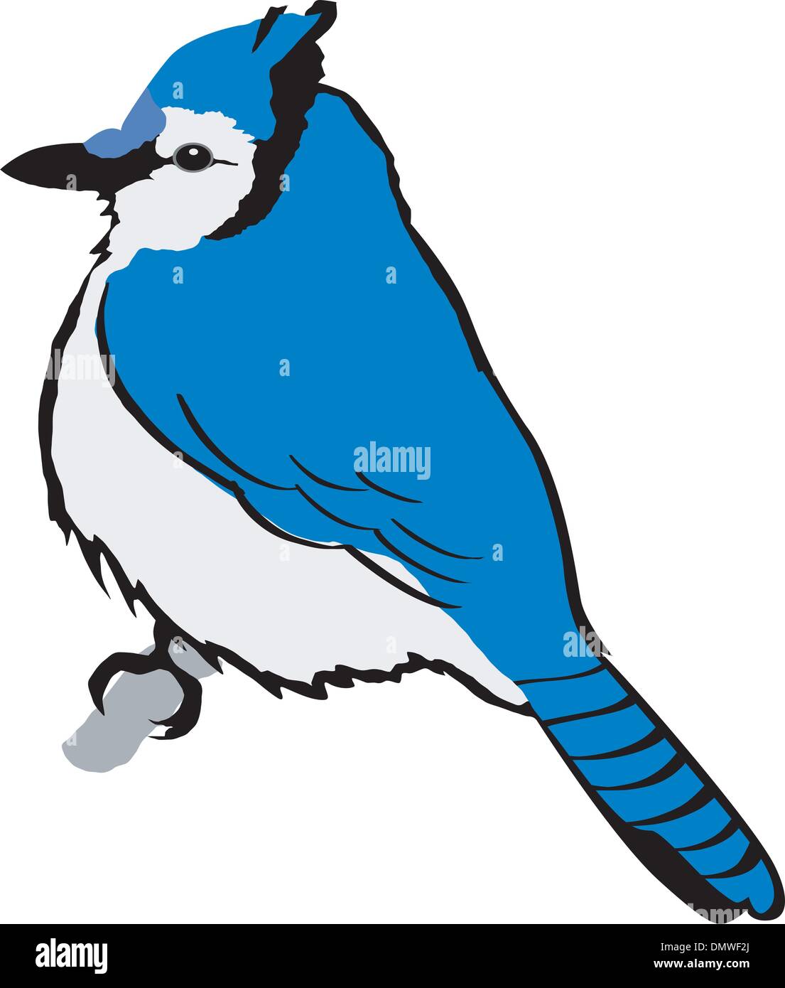 Jay feather Stock Vector Images - Alamy