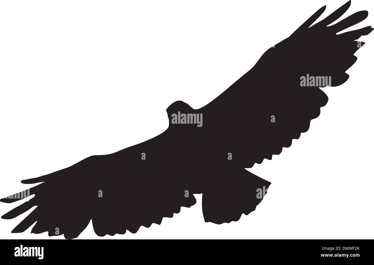 Buzzard silhouette Stock Vector Images - Alamy