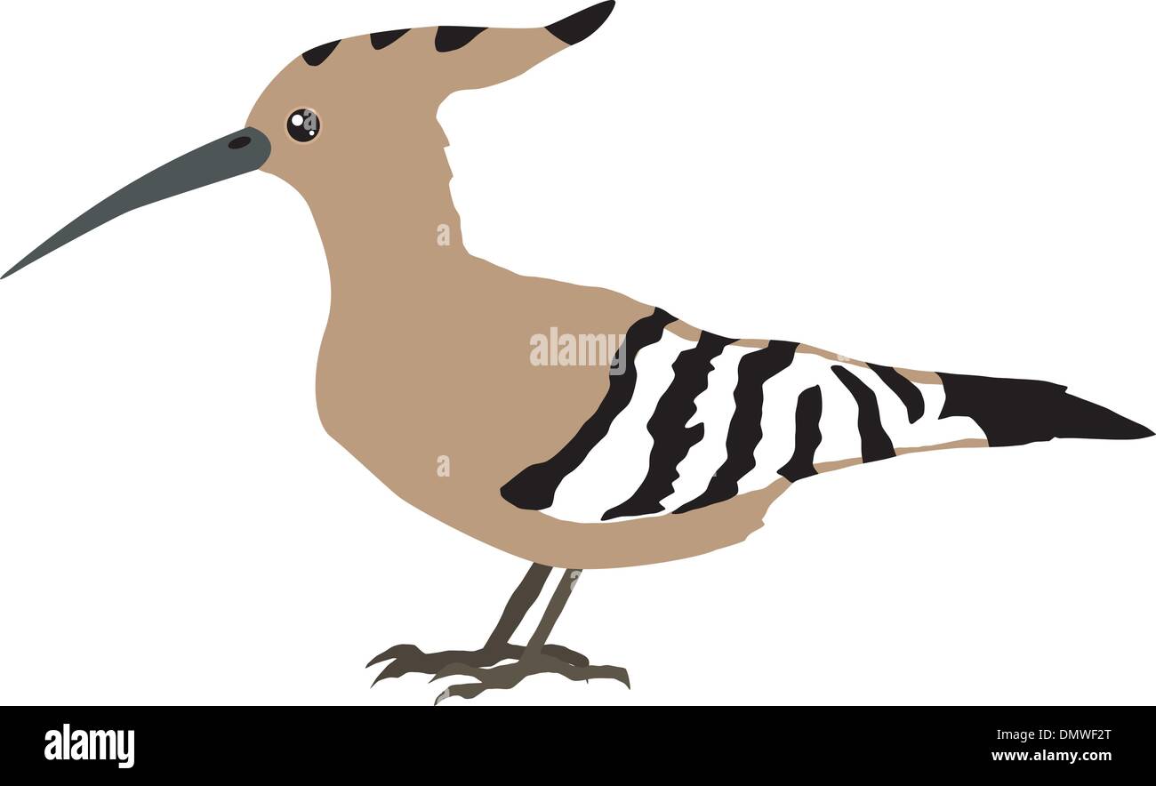 Bird hoopoe Stock Vector Images - Alamy