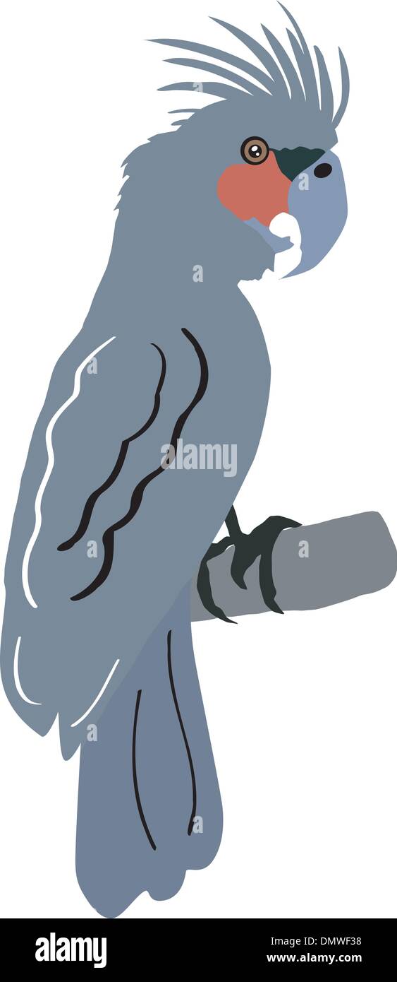 Cockatoo Cut Out Stock Images & Pictures - Alamy