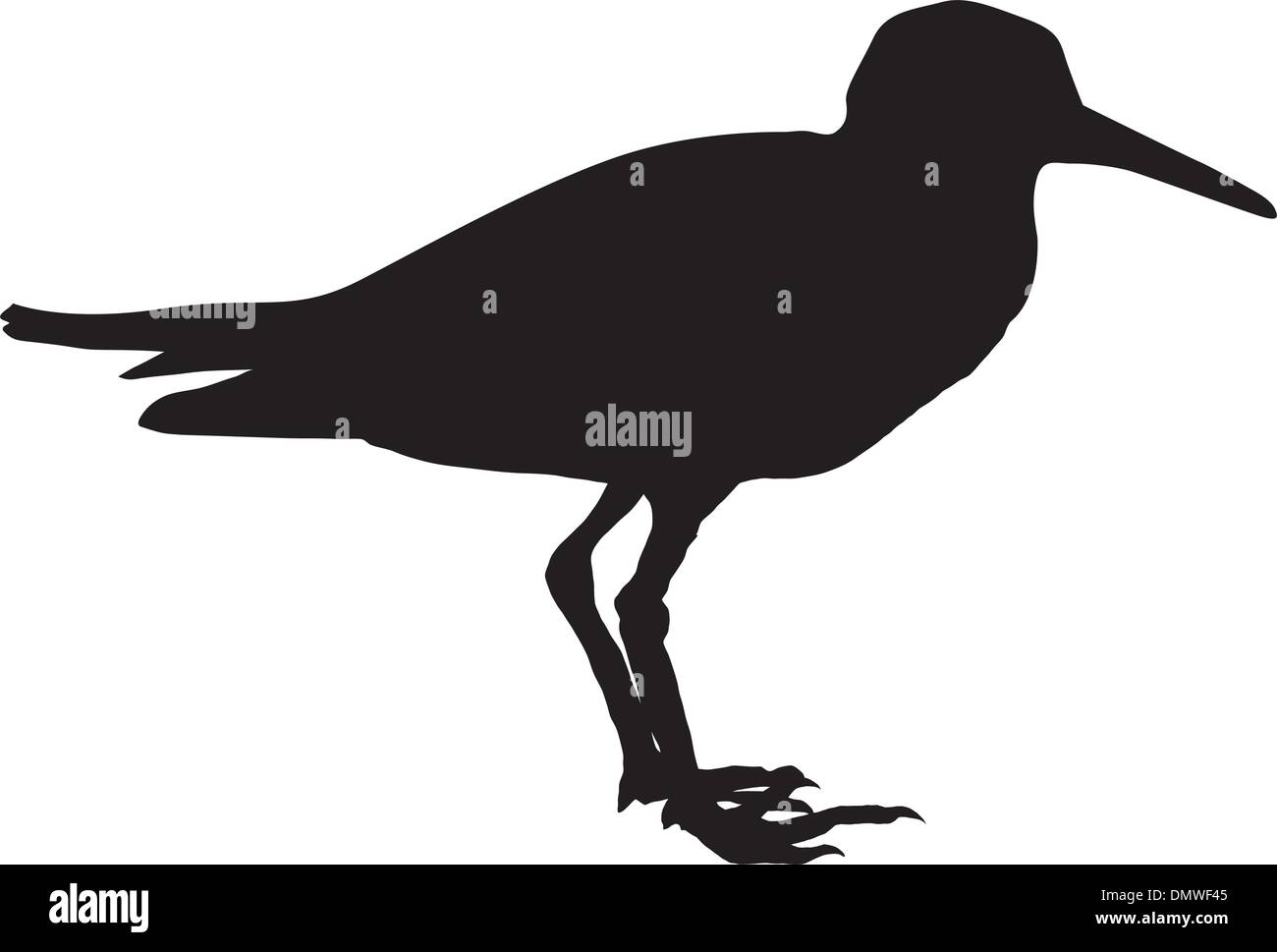 Sandpiper bird Stock Vector Images - Alamy