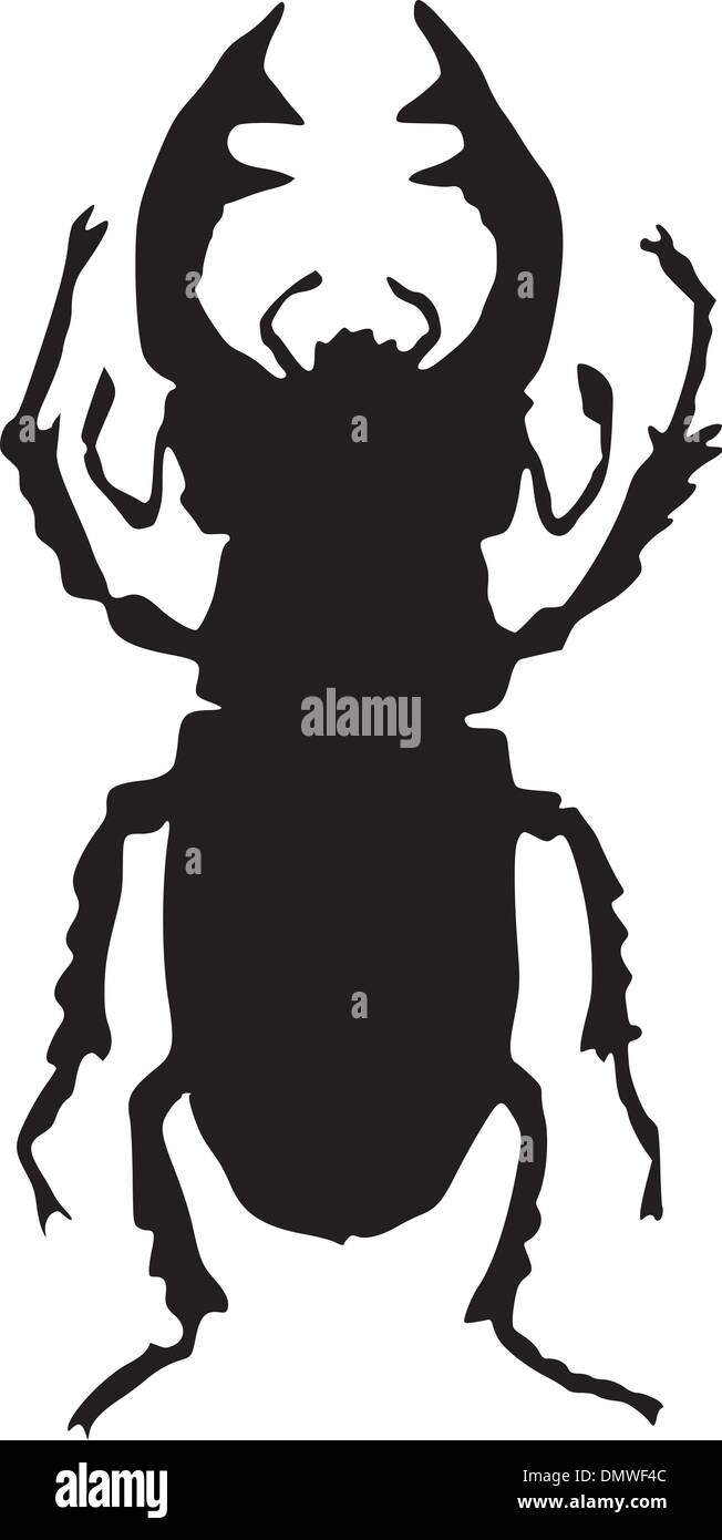 illustration of stag-beetle Stock Vector Image & Art - Alamy