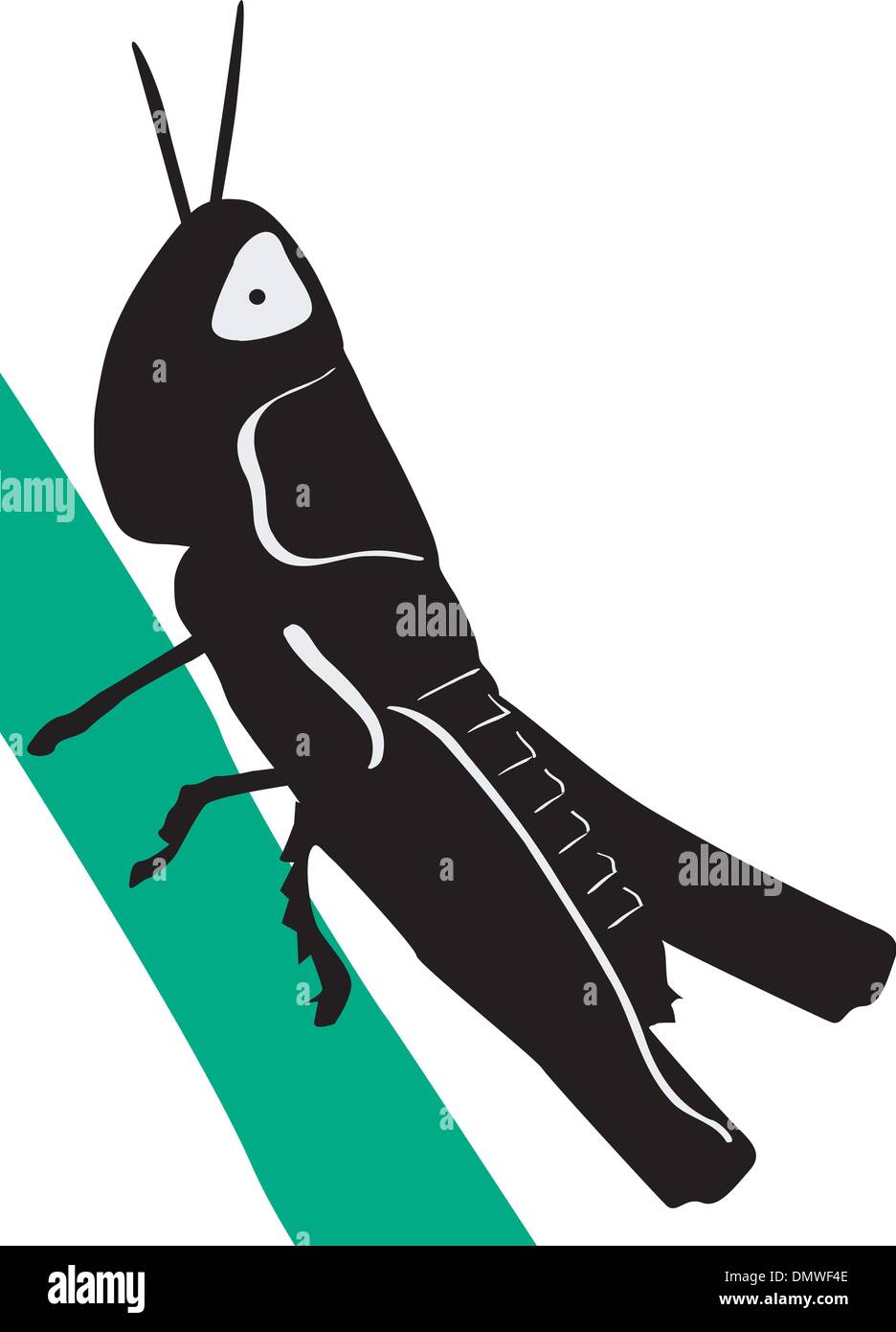 illustration of grig Stock Vector Image & Art - Alamy