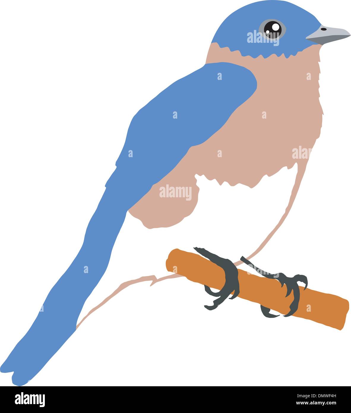 Bluebird drawing hi-res stock photography and images - Alamy