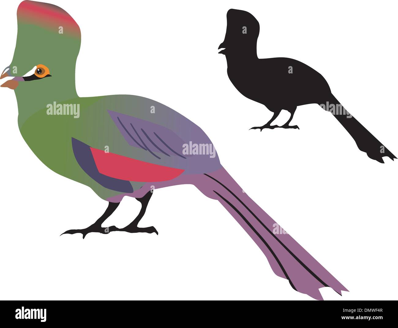 Turaco feather Stock Vector Images - Alamy