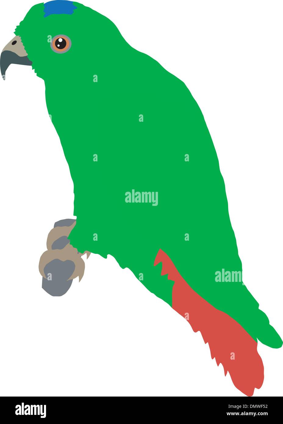 Parrot style Cut Out Stock Images & Pictures - Alamy