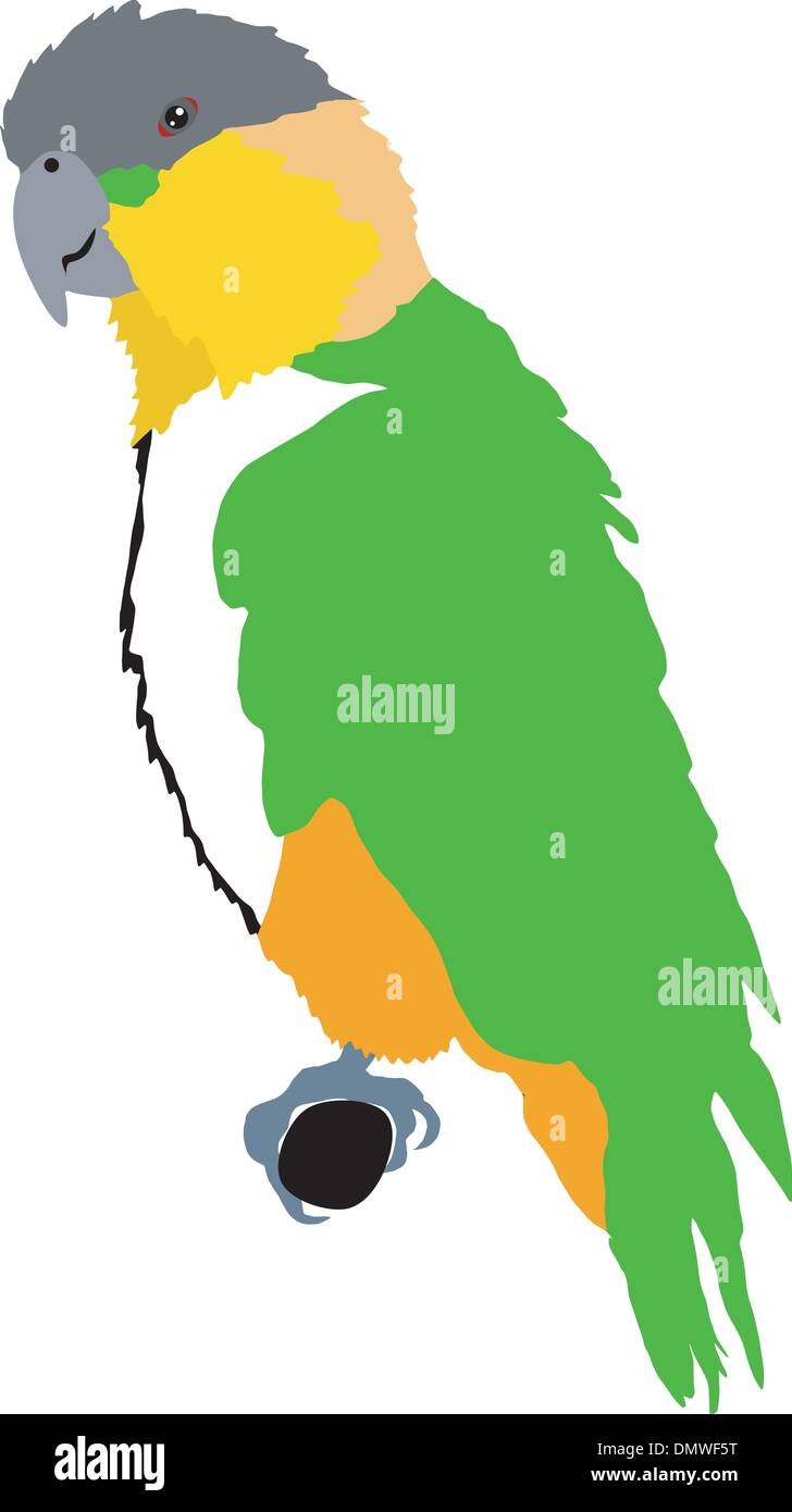 Tailed animal Stock Vector Images - Alamy