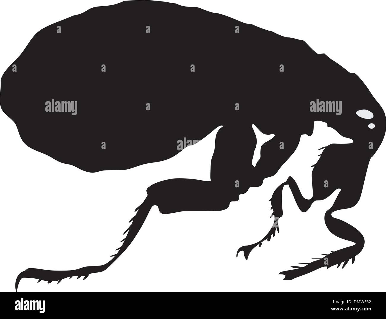 illustration of flea Stock Vector Image & Art - Alamy