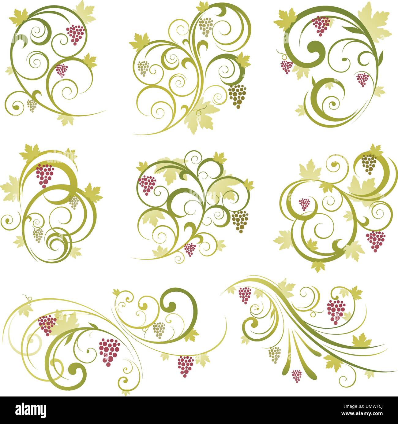 Set grape fruit elements Stock Vector Images - Alamy