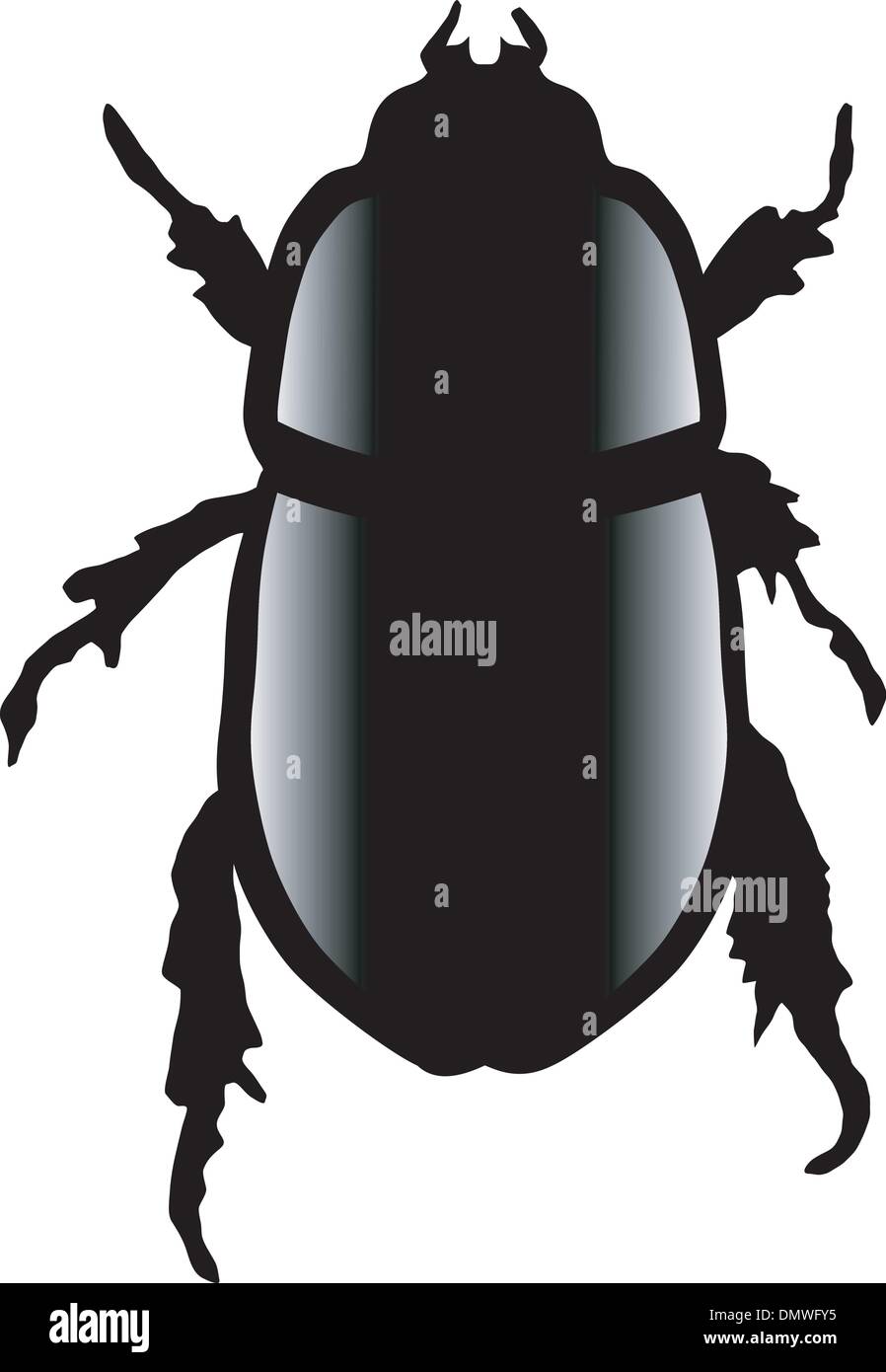 Summer beetle Stock Vector Images - Alamy