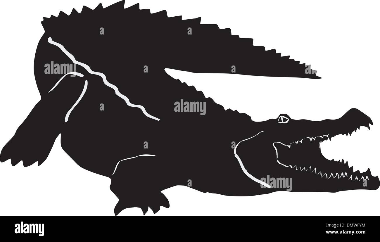 illustration of crocodile Stock Vector Image & Art - Alamy