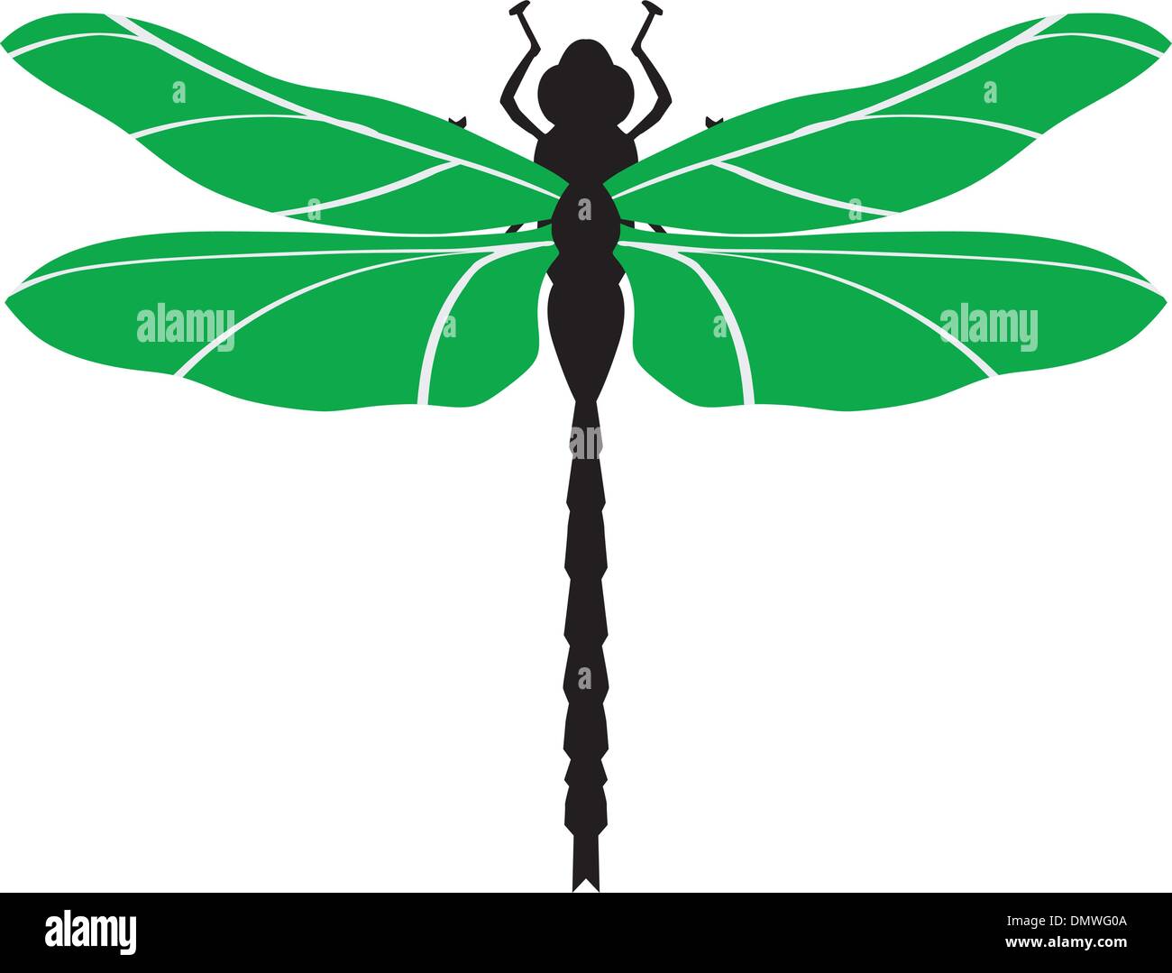 Dragonfly body Stock Vector Images - Alamy