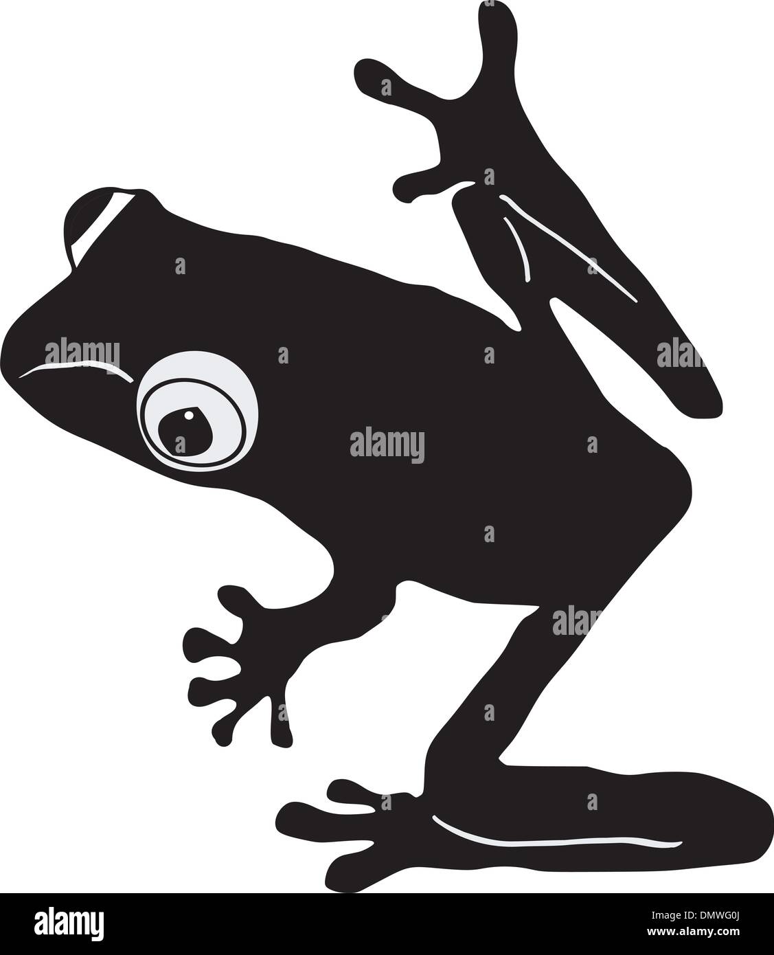 illustration of tree frog Stock Vector Image & Art - Alamy