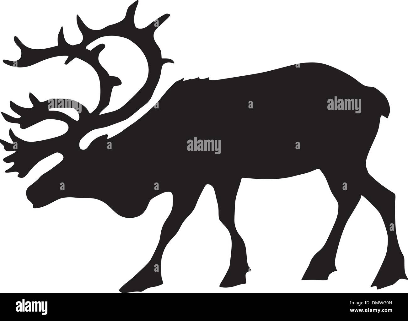 illustration of caribou Stock Vector Image & Art - Alamy
