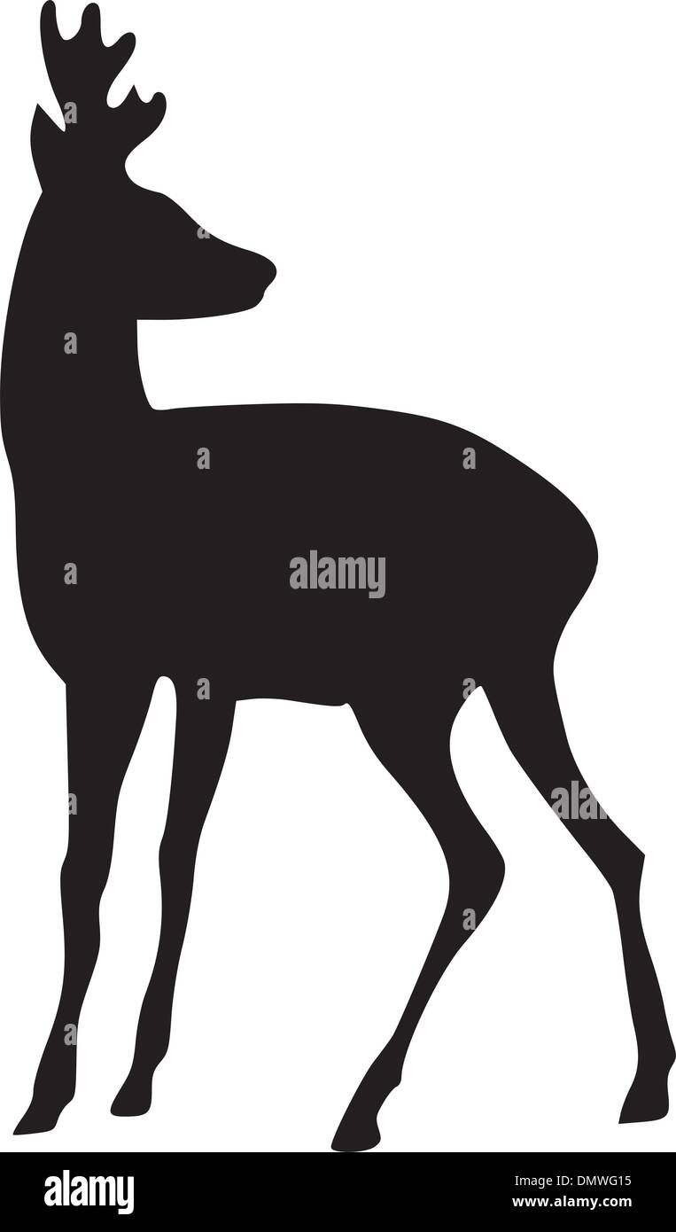 Illustration of roe deer hi-res stock photography and images - Alamy