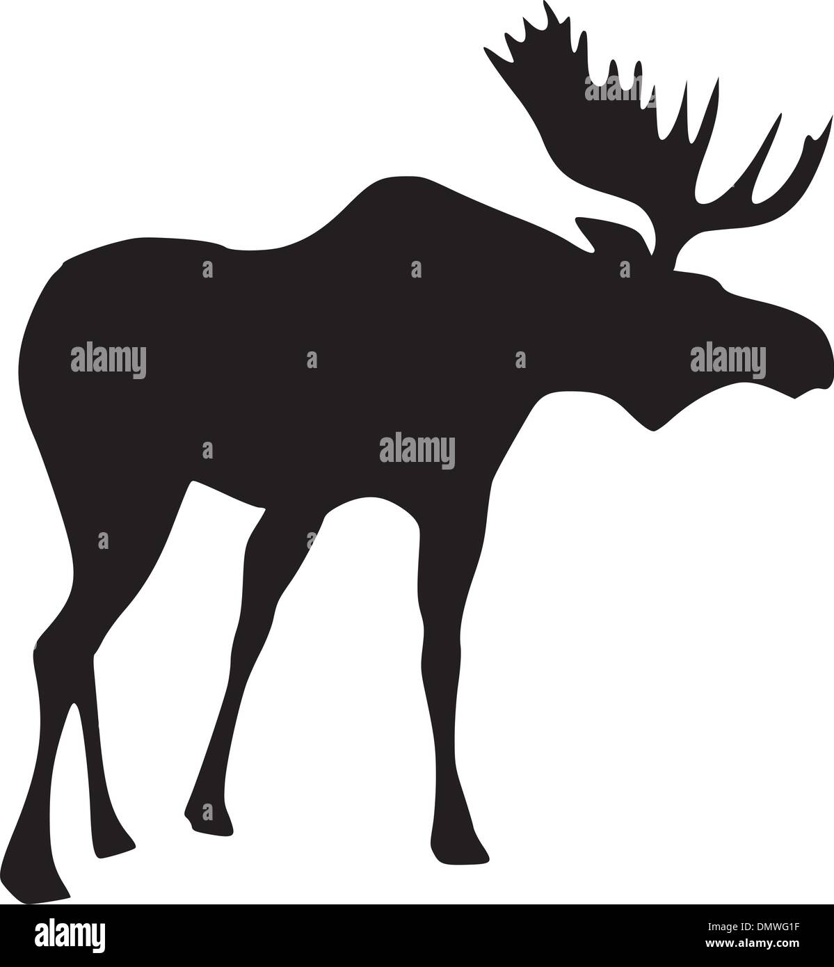 illustration of moose Stock Vector Image & Art - Alamy