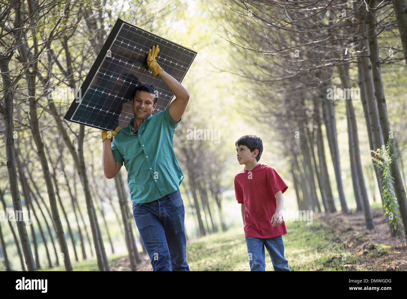 A man carrying a solar panel down an avenue of trees accompanied by a ...
