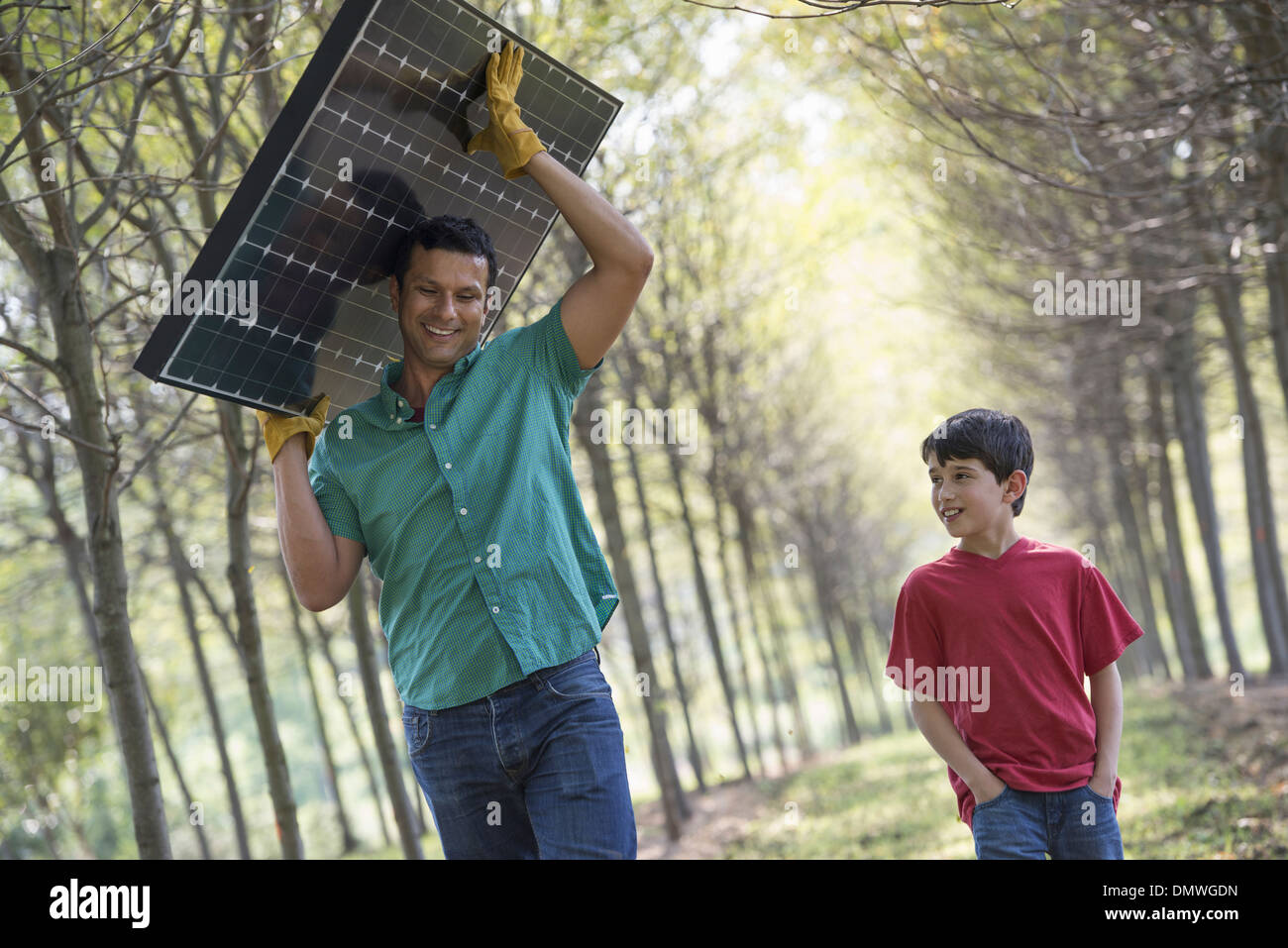 A man carrying a solar panel down an avenue of trees accompanied by a ...