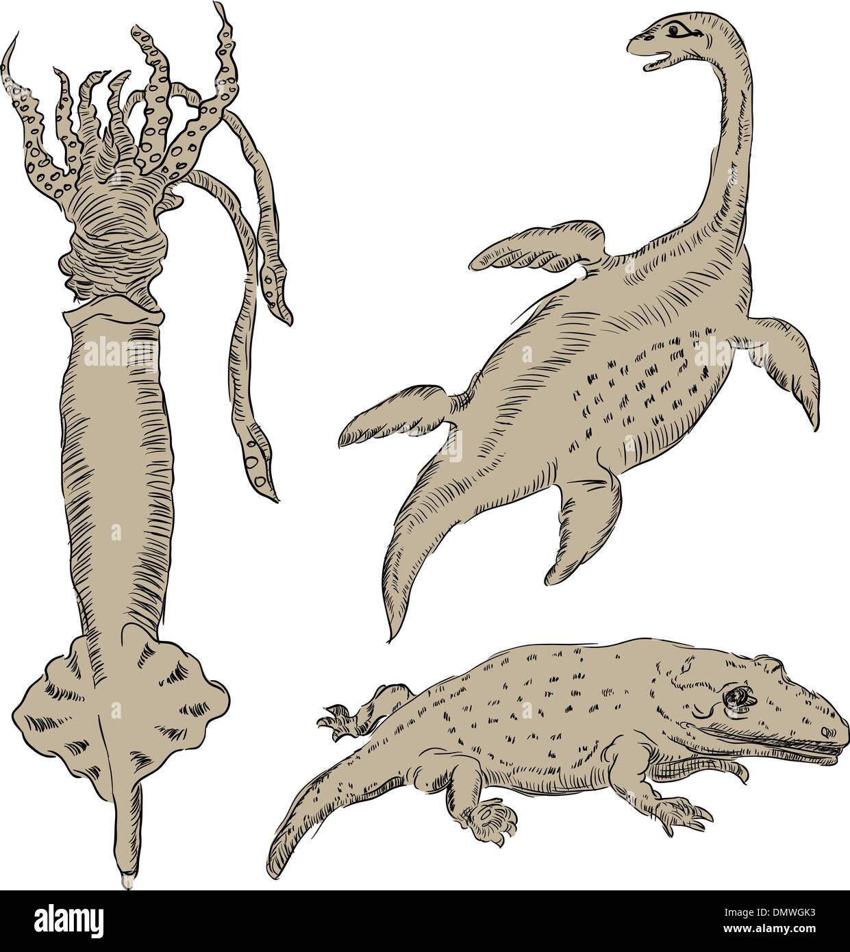 The fauna Cut Out Stock Images & Pictures - Alamy