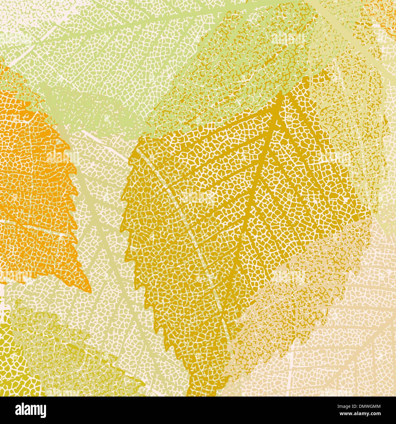 Vivid light pattern hi-res stock photography and images - Alamy