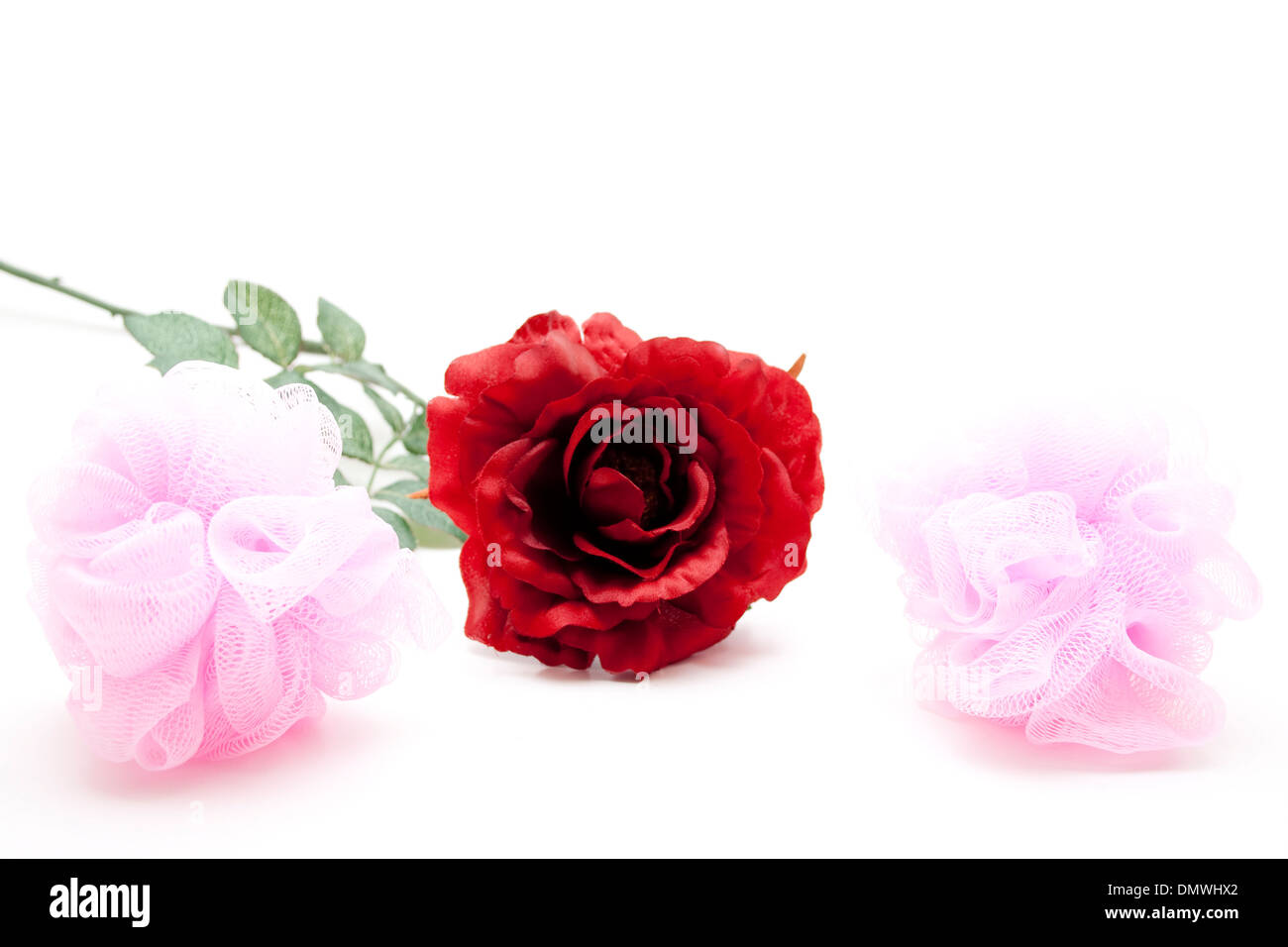 Red rose with net sponge Stock Photo - Alamy