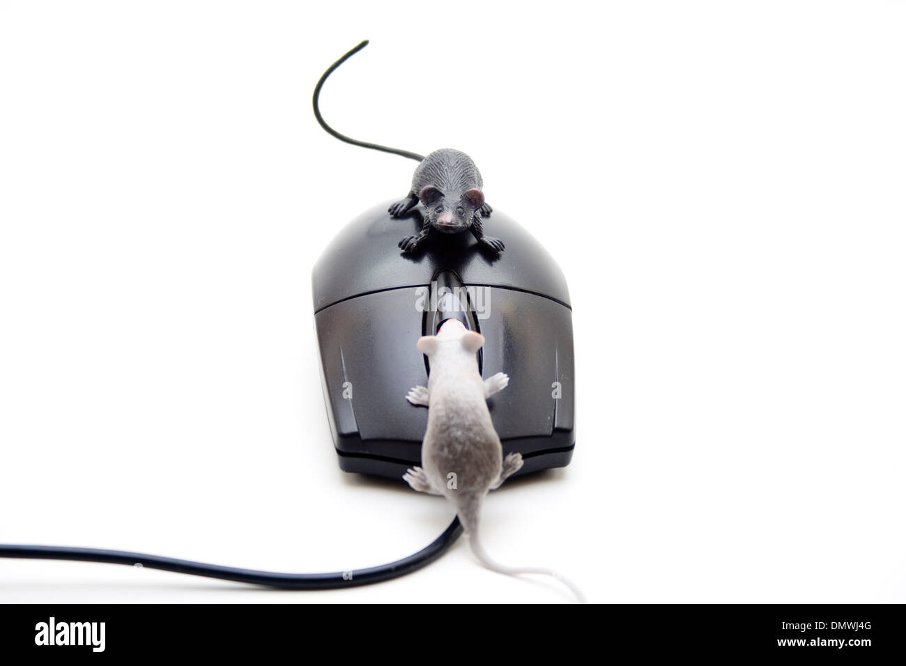 Black computer mouse with mouse figure Stock Photo - Alamy