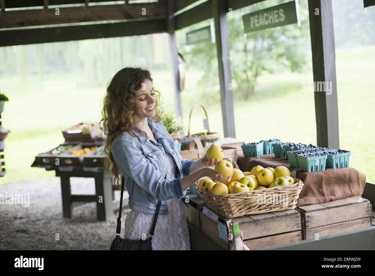 An organic fruit and vegetable farm. A young woman sorting vegetables ...
