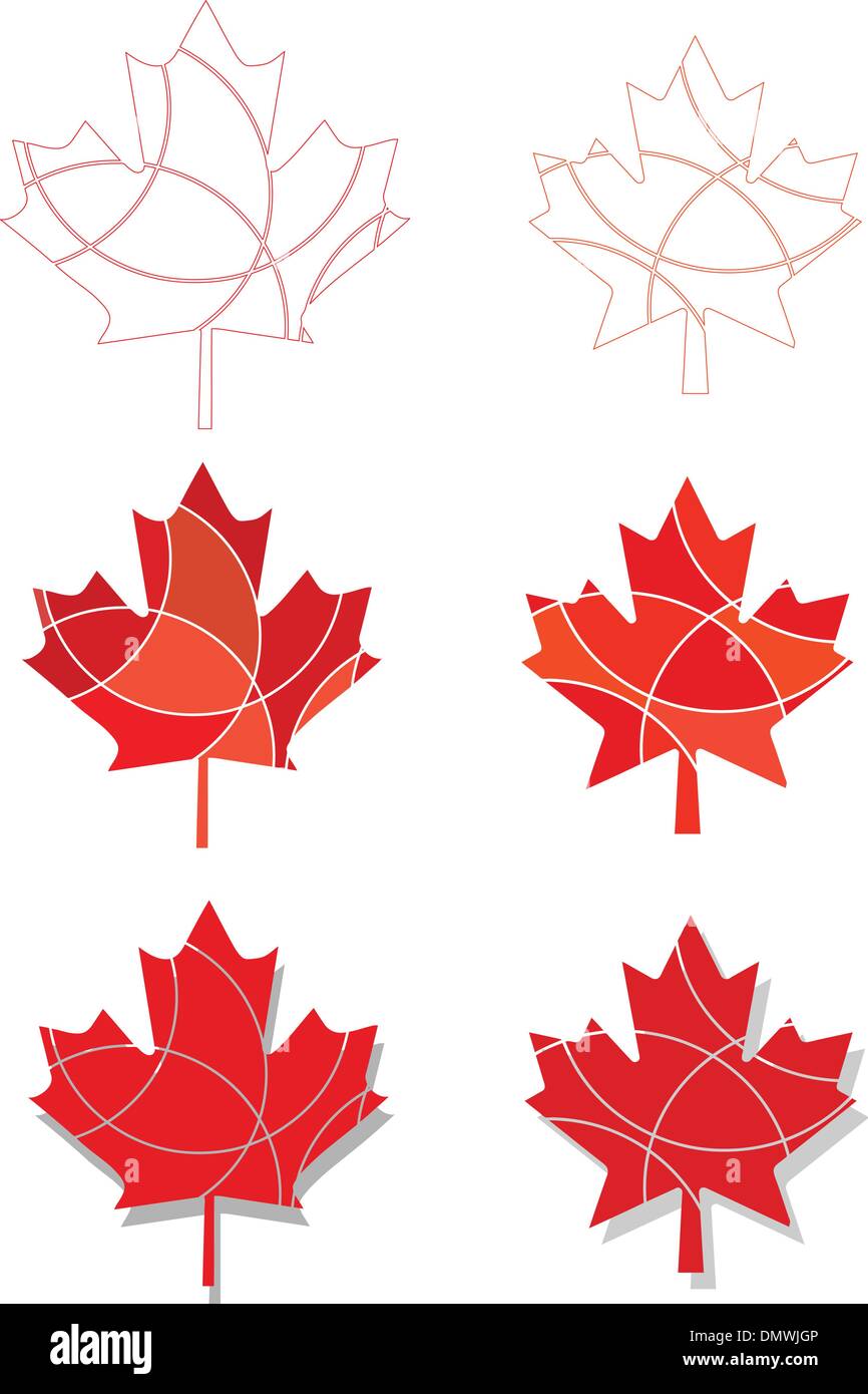 Sections of leaf Stock Vector Images - Alamy