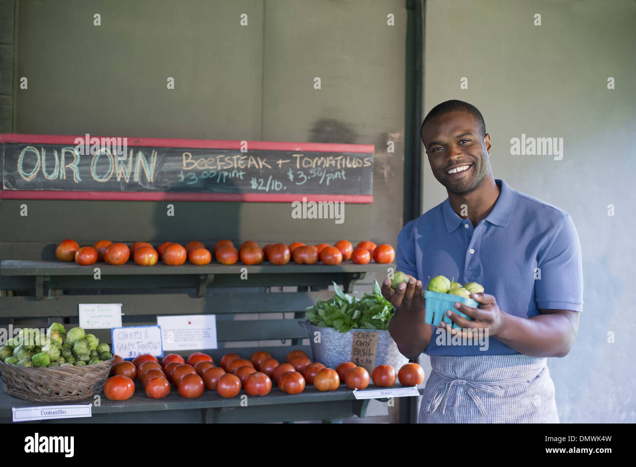 An organic fruit and vegetable farm. A man sorting vegetables Stock ...