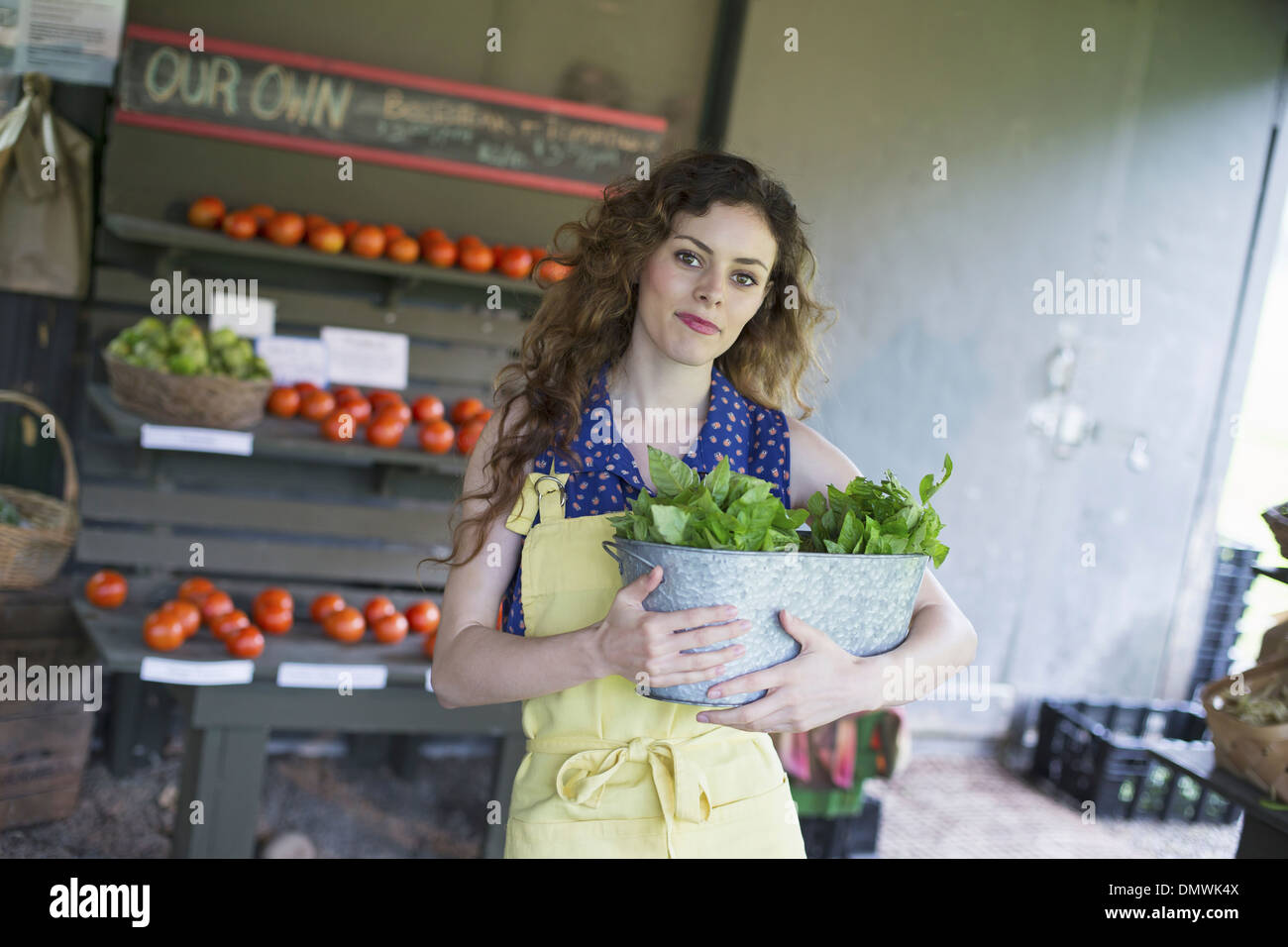 Organic farm stand hi-res stock photography and images - Alamy