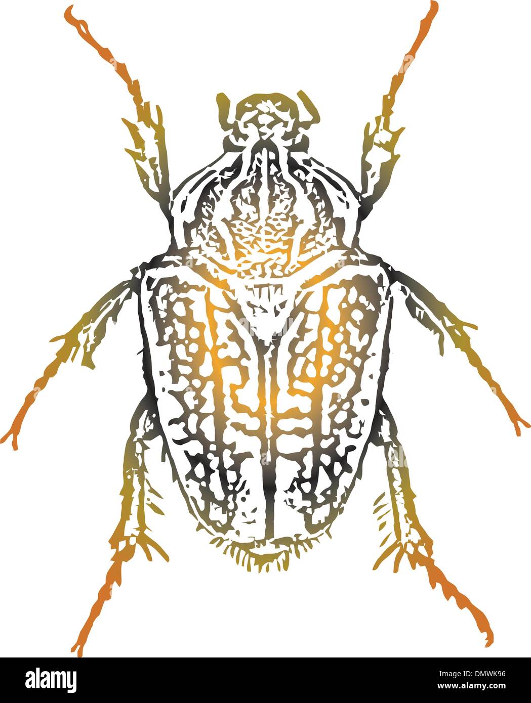 Vector artwork a beetle Stock Vector Image & Art - Alamy