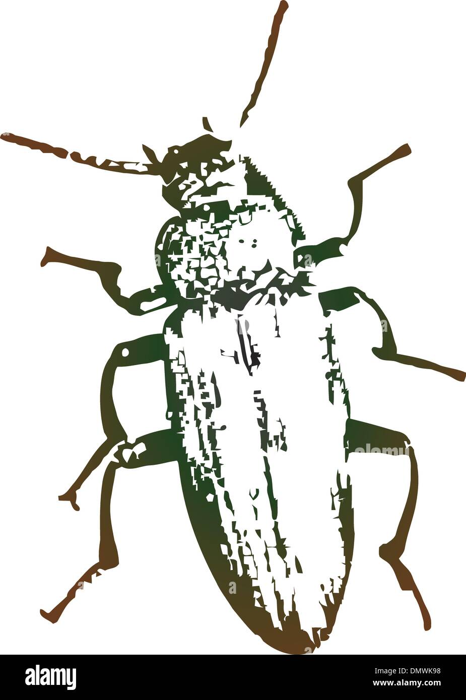 Beetle Vector Vectors High Resolution Stock Photography and Images - Alamy