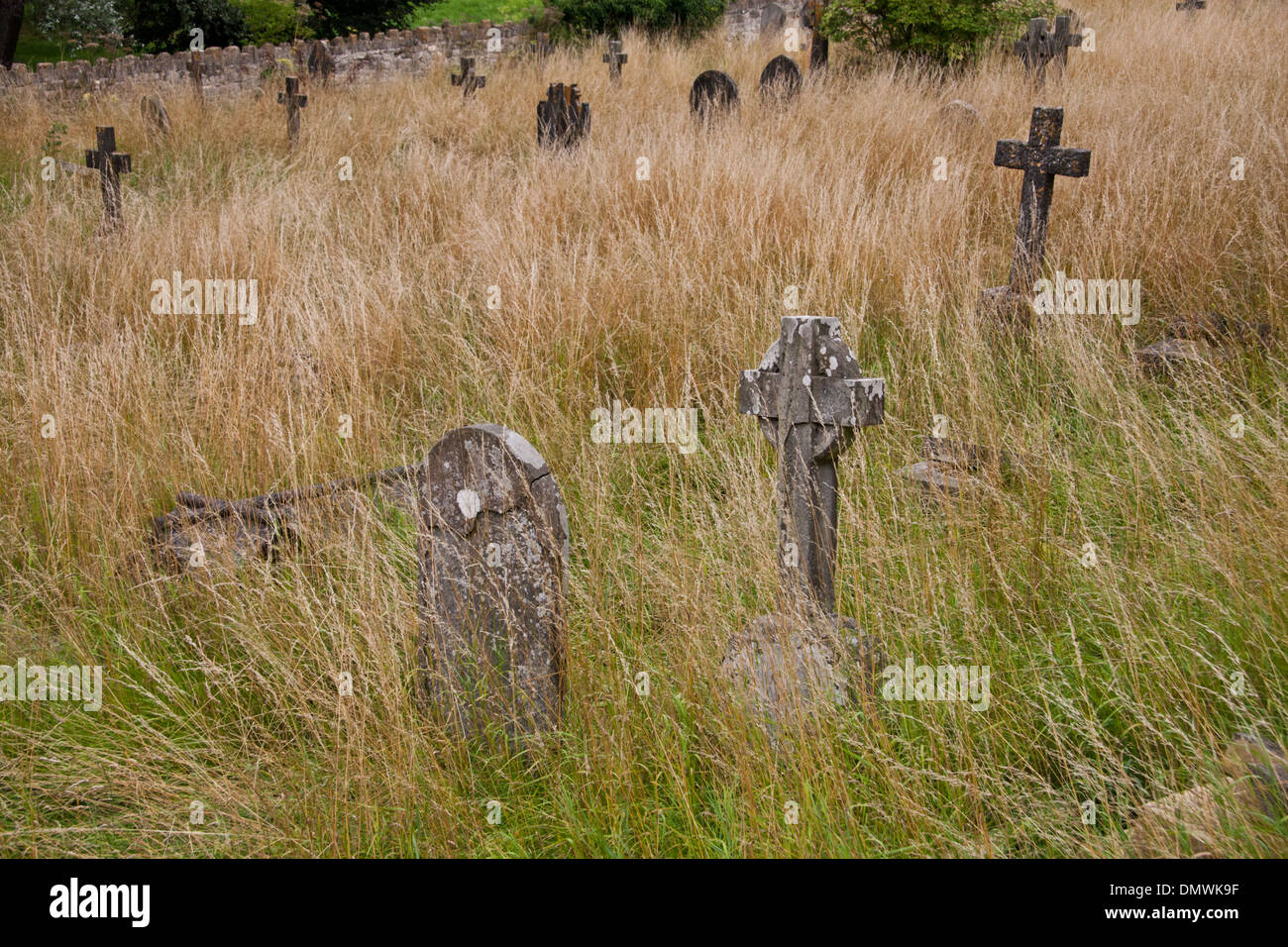 Overgrown cemetery hi-res stock photography and images - Alamy