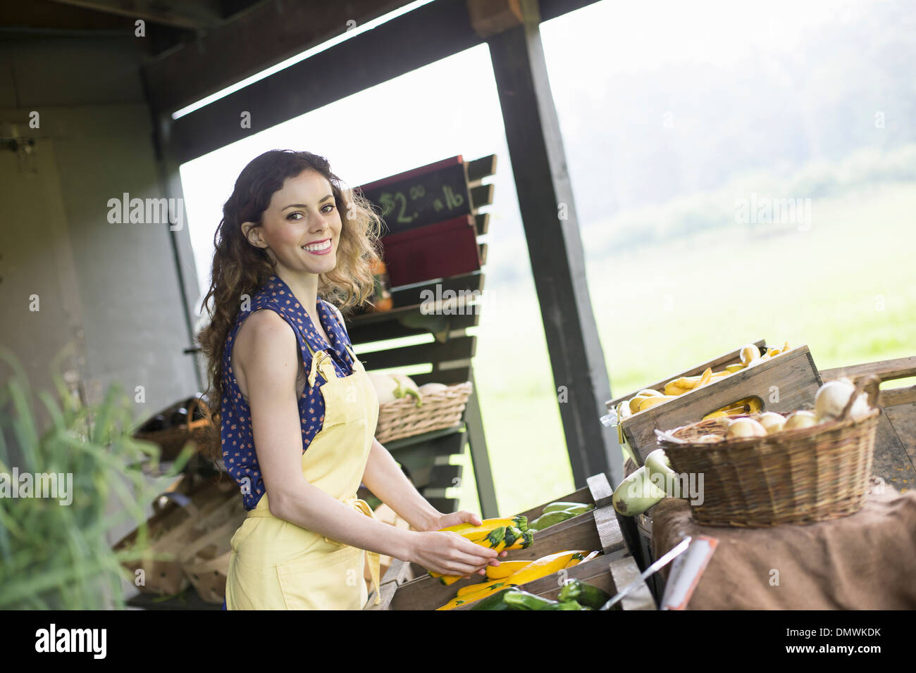 An organic fruit and vegetable farm. A young woman sorting vegetables ...